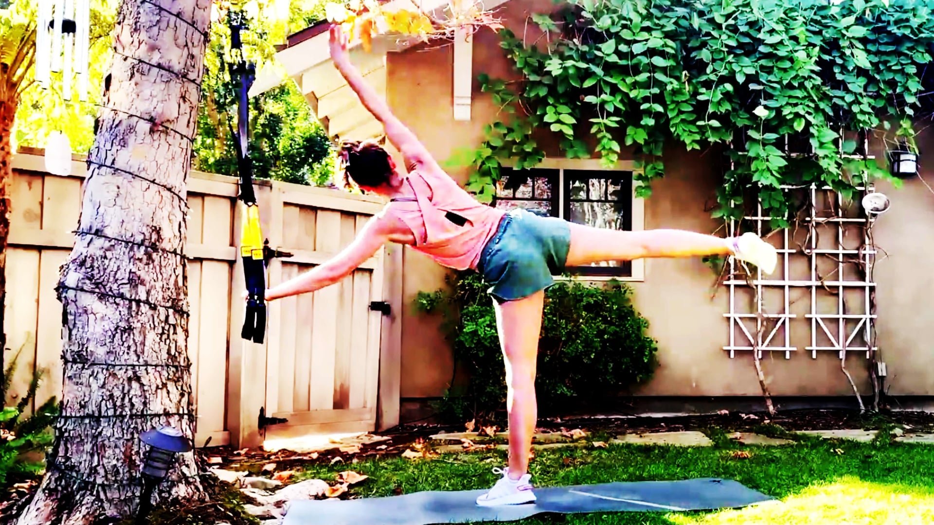 TRX Workout at home - A new way to do your BARRE work!